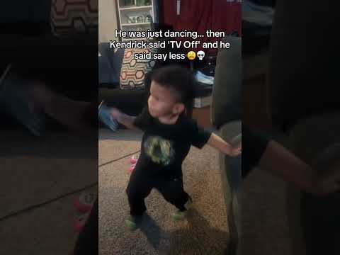 When you take the lyrics ๐ถ too serious #kendricklamar #tvoff #dancingtoddler
