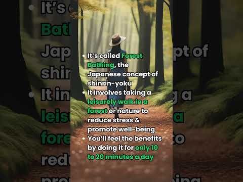 The Life Changing Benefits of Forest Bathing, Shinrin Yoku, Blew My Mind