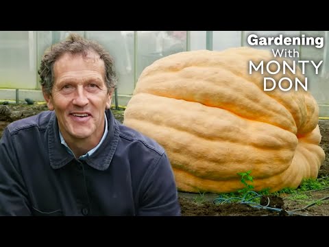 The Biggest Pumpkin EVER? π | FULL EPISODE | S7E22 | Gardener's World