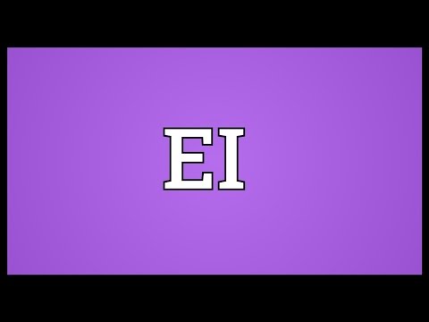 EI Meaning