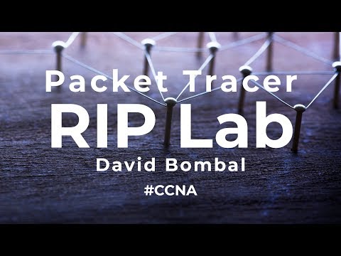 Cisco CCNA Packet Tracer Ultimate labs: RIP routing lab: Can you complete the lab?
