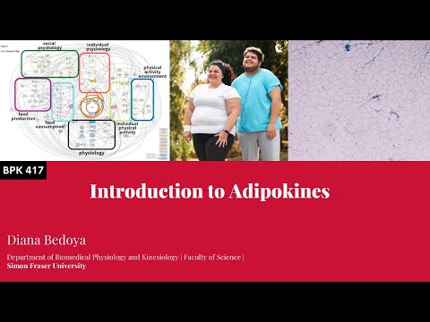 Introduction to Adipokines