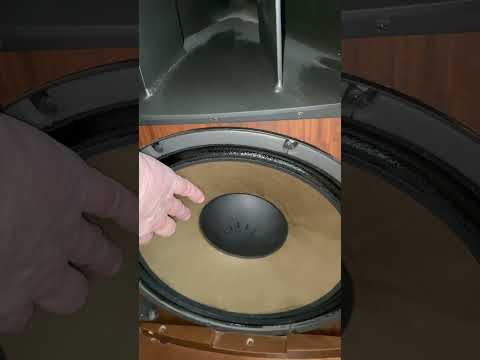 Sansui SP-5500 Untreated Woofer