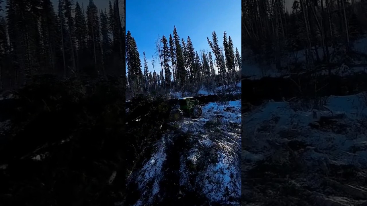 Skidder things. #alberta #logging #forestry #heavyequipment #johndeere #trees #dji #fpv #drone