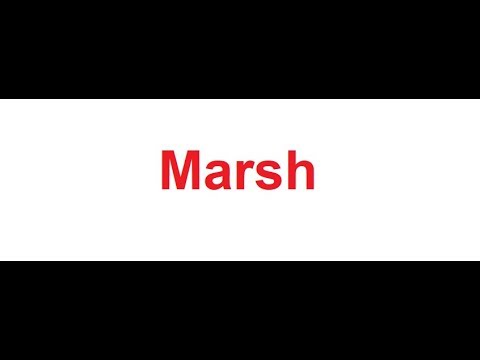 Marsh meaning in Hindi