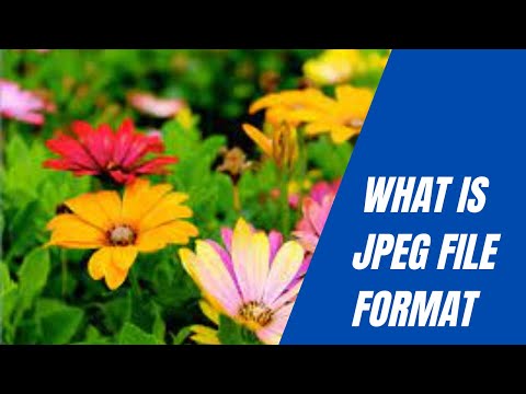 What is JPEG File Format