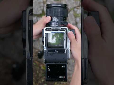 Hasselblad CFV 100C: Modular Medium Format Marvel