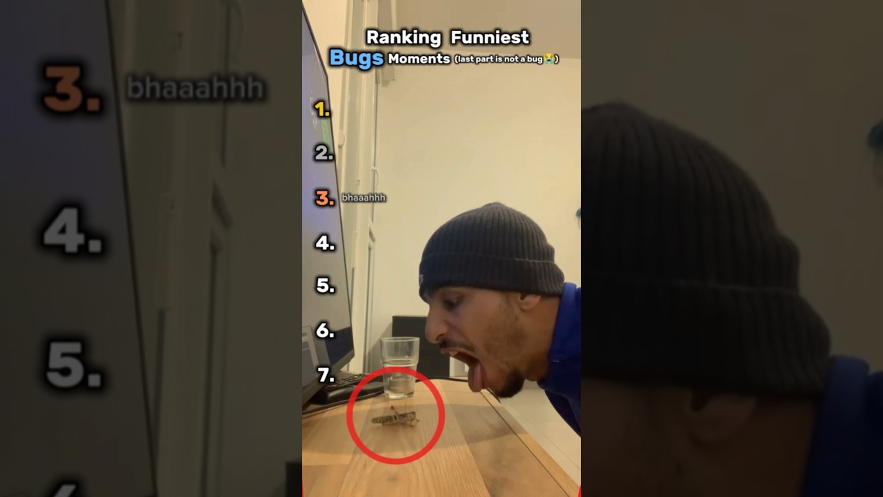 Ranking Funniest Bug Moments 🦗💀