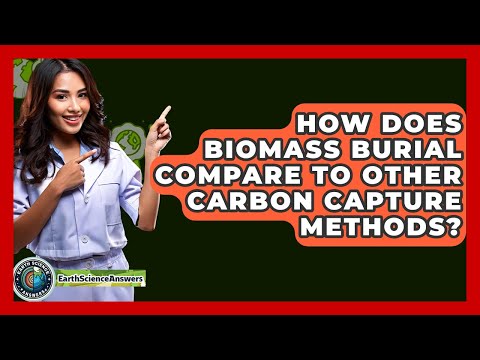 How Does Biomass Burial Compare To Other Carbon Capture Methods? - Earth Science Answers