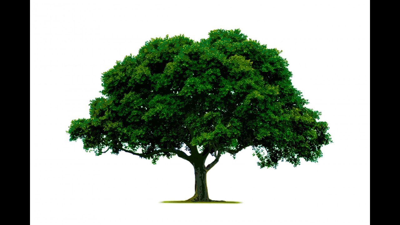CSAB: Creating and Drawing Trees Using DefaultMutableTreeNode