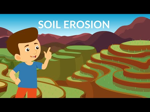 Soil Erosion | Types and Causes | Video for Kids