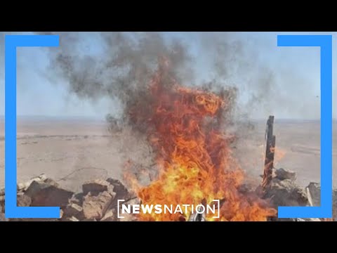 Cartel scout sites dismantled after US-Mexico joint effort | NewsNation Prime