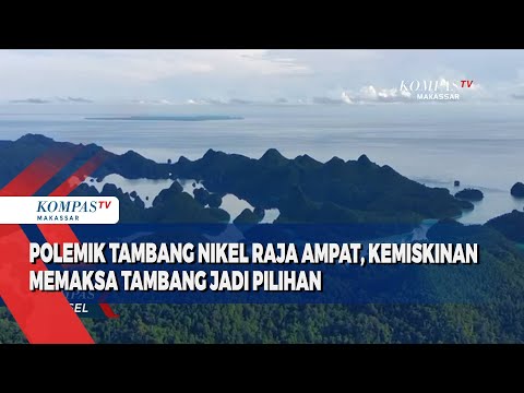 Polemik Tambang Nikel Raja Ampat, Kemiskinan Memaksa Tambang Jadi Pilihan