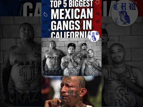Top 5 Most Dangerous Mexican Gangs in California 🔵🔴 | Chicano Street Culture EXPOSED”📄 #hood #cali
