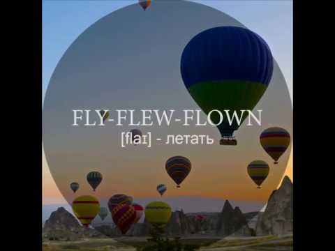 Words in action fly - flew - flown