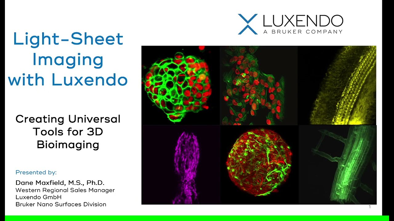 Light Sheet Microscopy | Creating Universal Tools for 3D Bioimaging | Bruker Luxendo