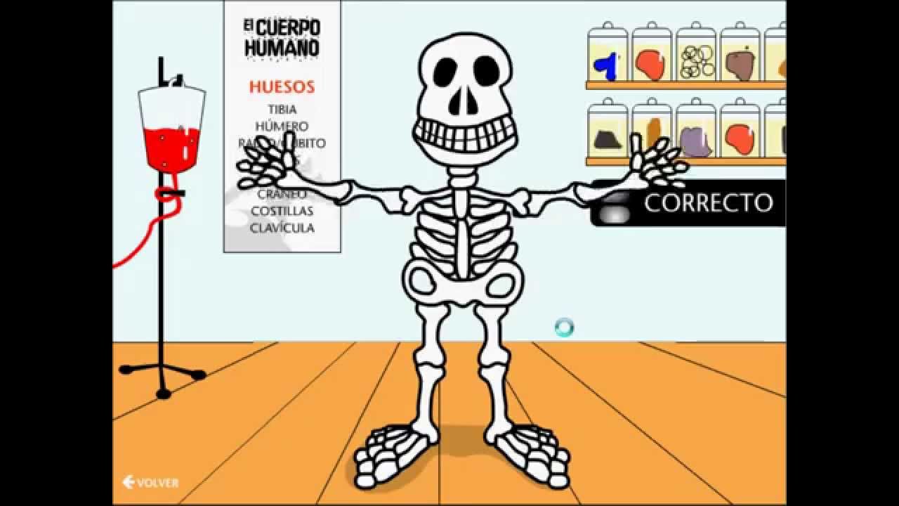 Juego del Cuerpo Humano