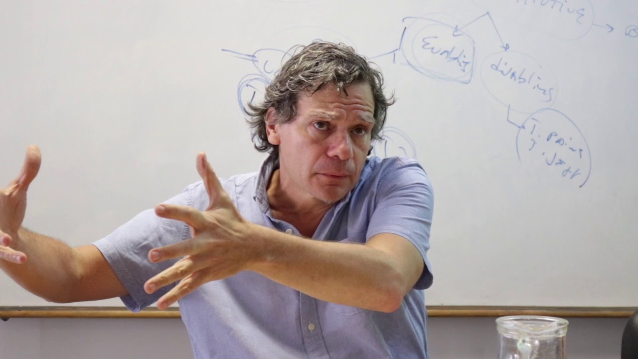 Roberto M. Gargarella - Rethinking Democratization in Africa and Latin America