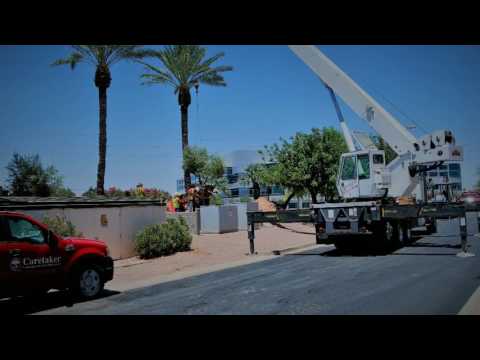 ASU Research Park - Caretaker Landscape - Tree Installation