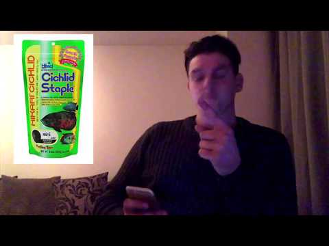 what should you feed your Oscar fish