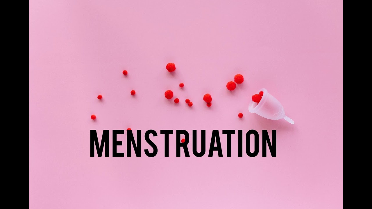 Demystifying Menstruation: A Comprehensive Guide to Understanding Your Period