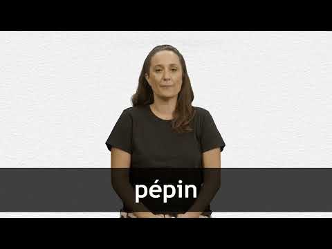 How to pronounce PÉPIN in French