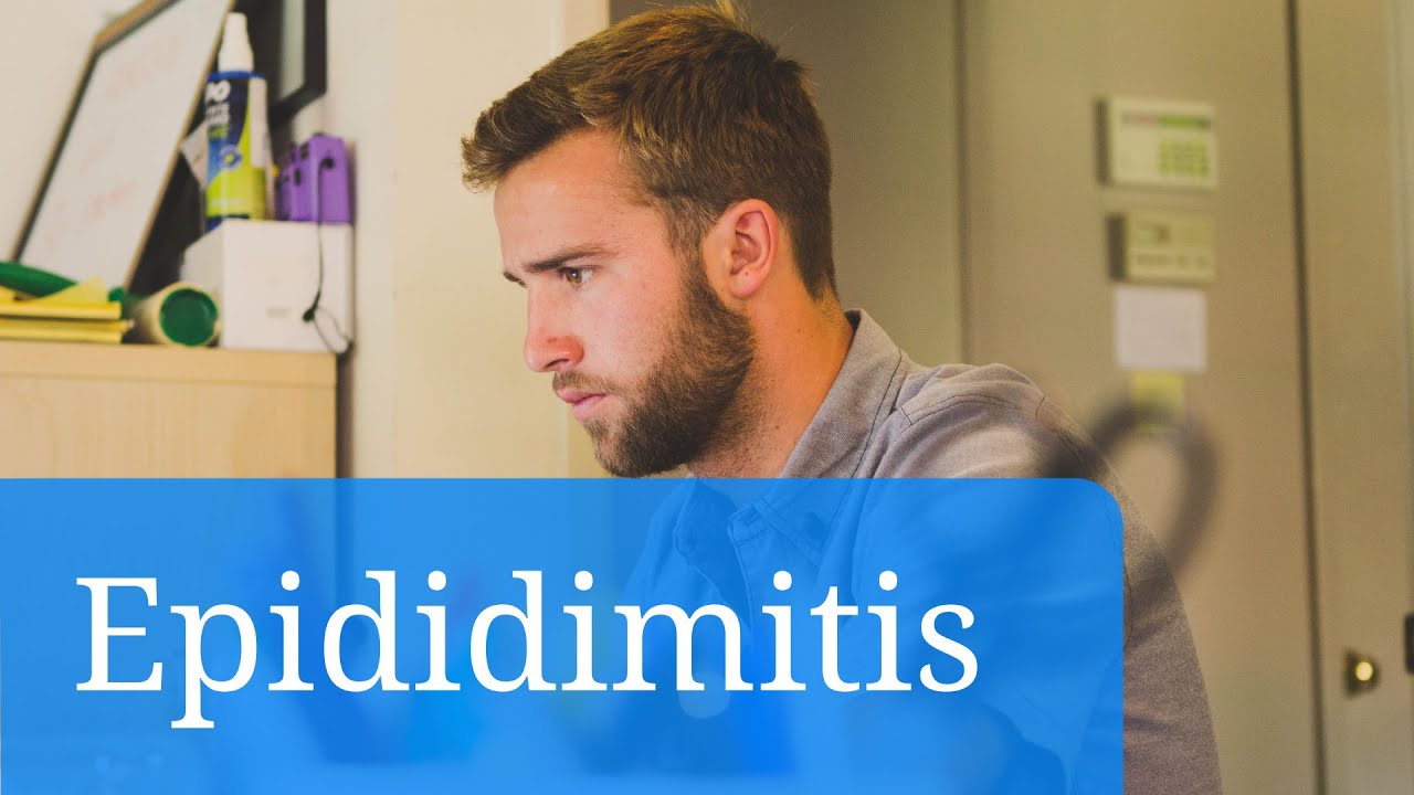 Epididymitis. Causes and treatment of inflammation of the epididymis
