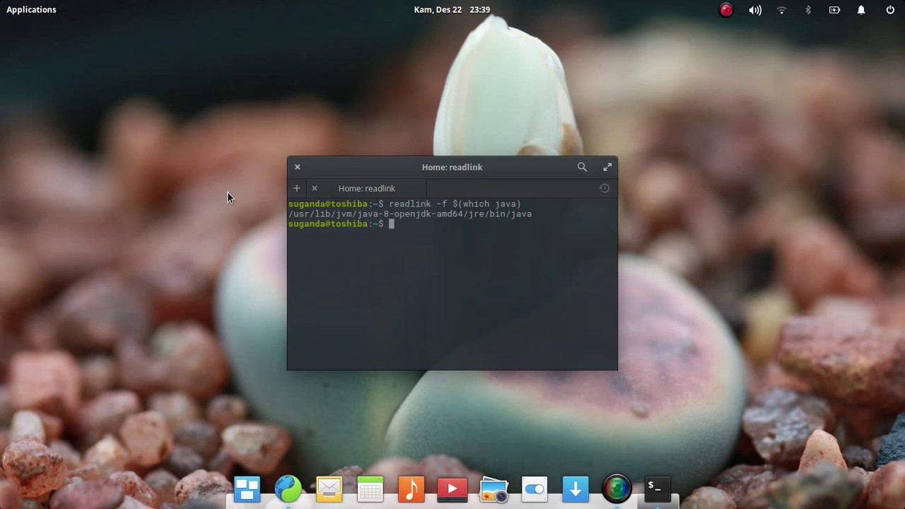 Where is Java Installed on System (Linux)