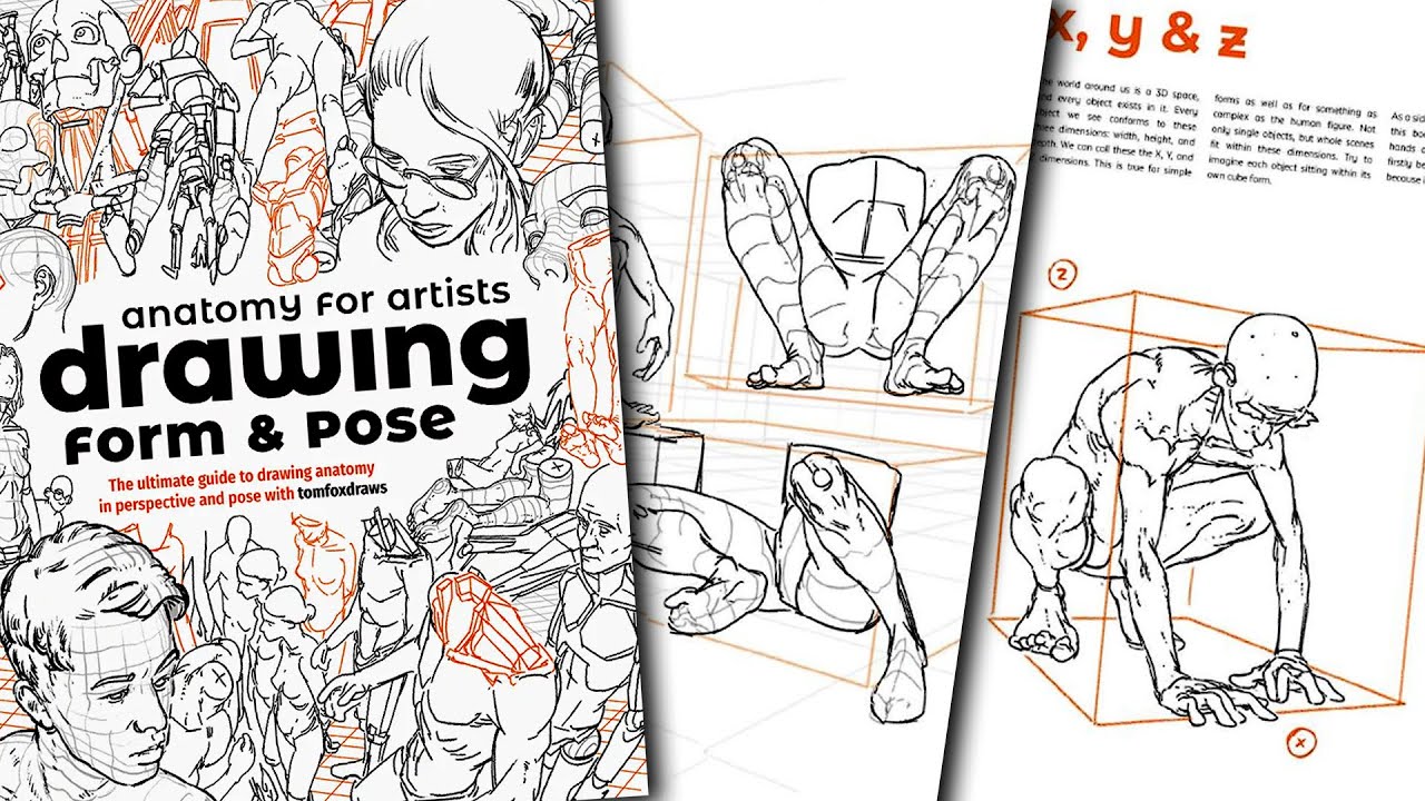 📚Anatomy for Artists! Drawing Form & Pose by Tomfoxdraws Ultimate Guide for Anatomy in Perspective