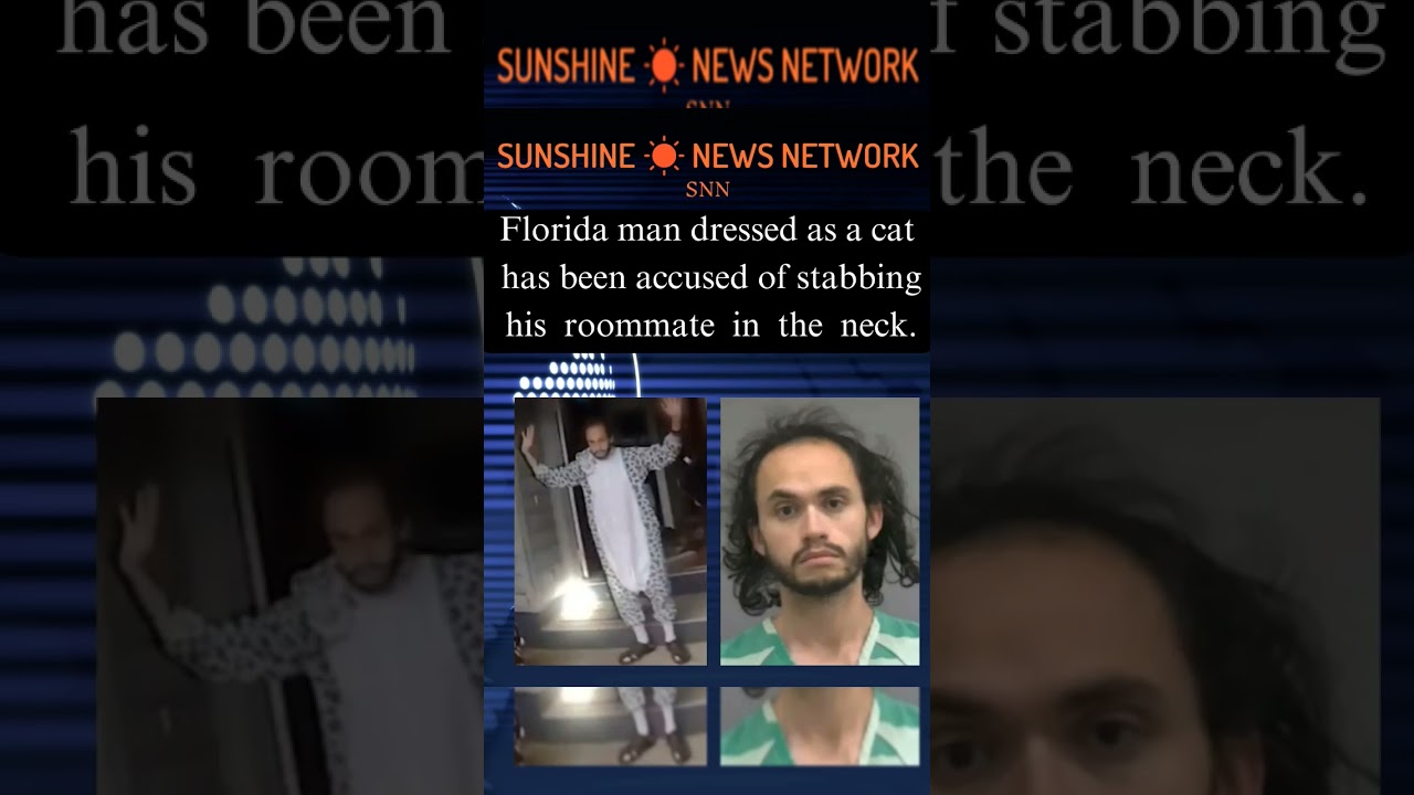 Terrifying: Roommate Stabbed by Florida man in Cat Costume! #shorts #subscribe