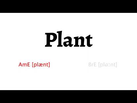 How to Pronounce plant in American English and British English