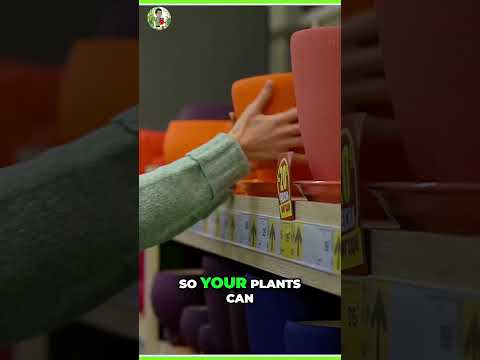 Transform Your Plants with Self-Watering Planters!