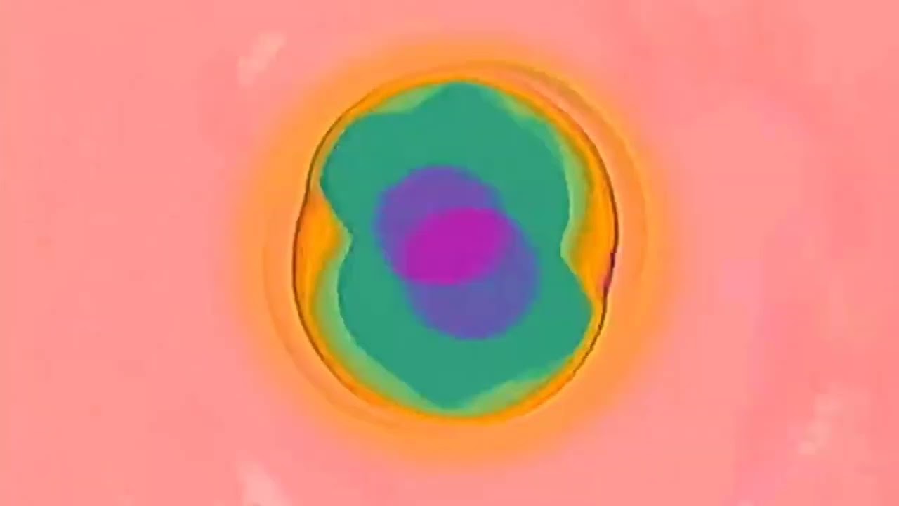 Remi Wolf - Toro (lyrics video)