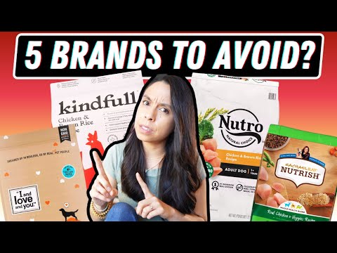 Reviewing 5 Popular Dog Foods from TARGET ⚠️