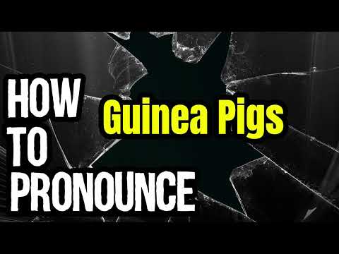 How To Pronounce Guinea Pigs? (CORRECTLY) Meaning & Pronunciation
