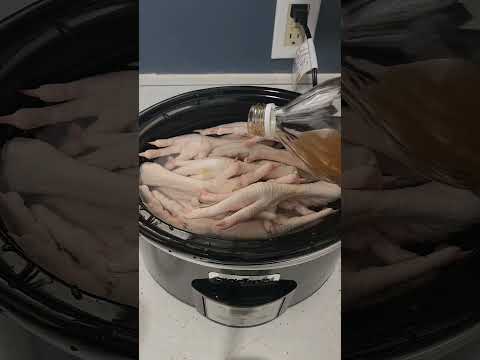 Homemade Bone Broth for your Dogs