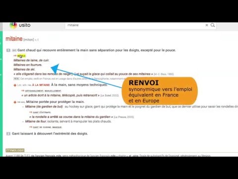 Mieux comprendre Usito | L’article de dictionnaire