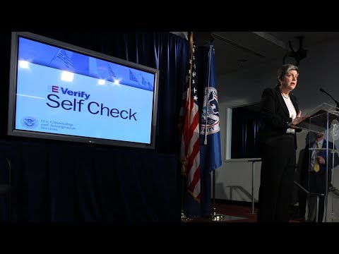 E-Verify by the numbers