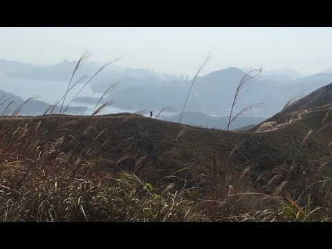 How to train for 100km: the long run