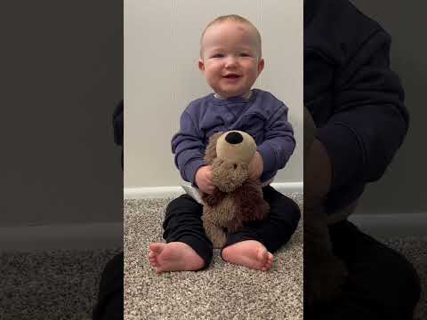 Warmies Dog #babyproducts #baby #cutebaby #babymusthaves #babyshorts #warmies #productreview