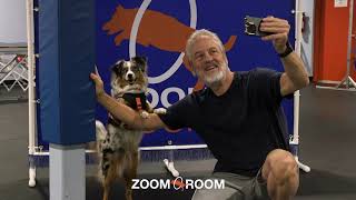 3 Best Dog Training in Lincoln, NE - Expert Recommendations