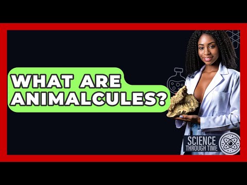 What Are Animalcules? - Science Through Time