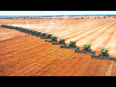 Largest Farms in The World That Will Shock You – Branch Worldwide