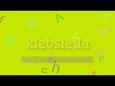 KLEBSIELLA - HOW TO PRONOUNCE KLEBSIELLA?