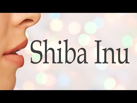 How to Pronounce Shiba Inu