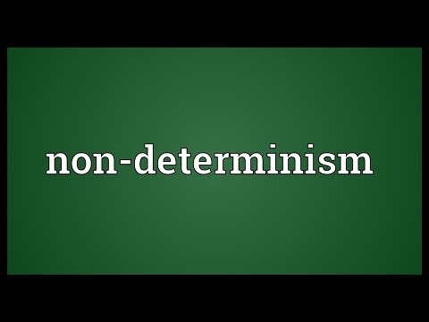 Non-determinism Meaning
