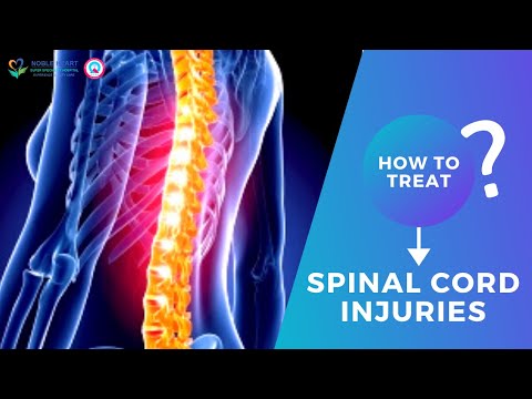 What is Spinal Cord Injury (SCI)?