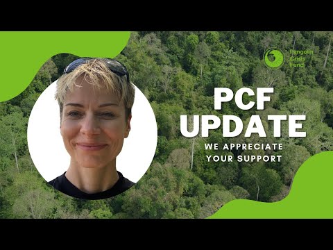 Pangolin Crisis Fund | Thank You For Your Support in 2022