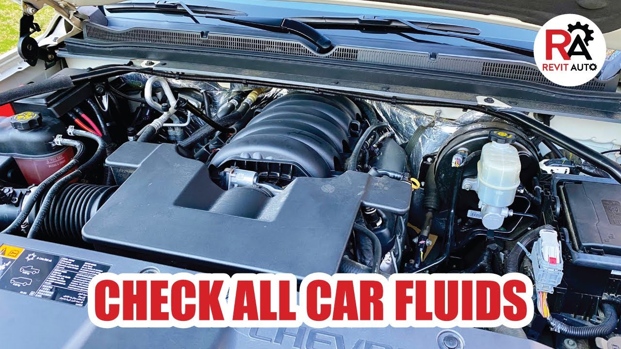 Check ALL Your Vehicle's Fluids Complete How To Guide