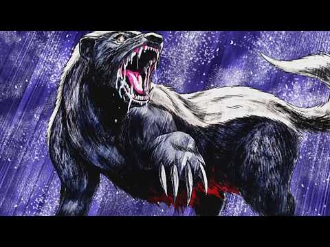 Killing bites [AMV]: Kido VS Hitomi